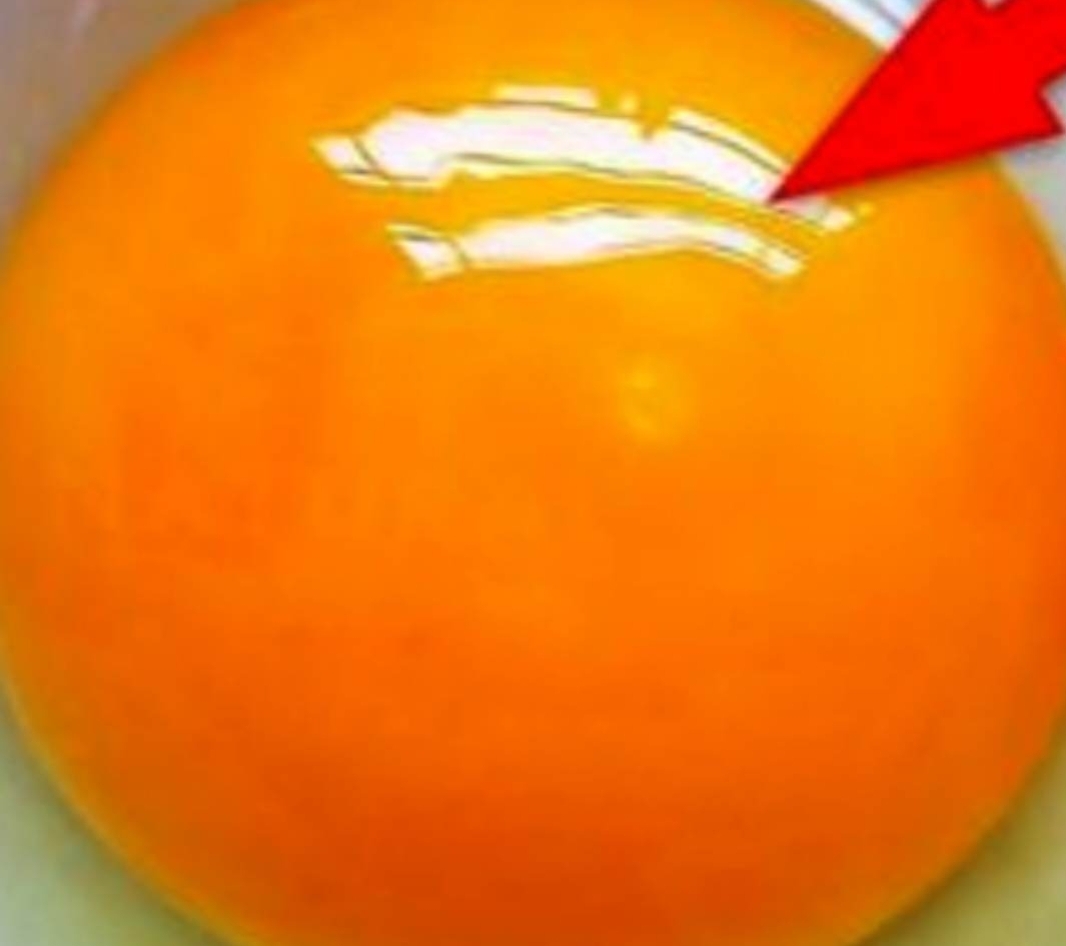 This Is What the Color of Your Egg Yolk Means – Recipes Makers